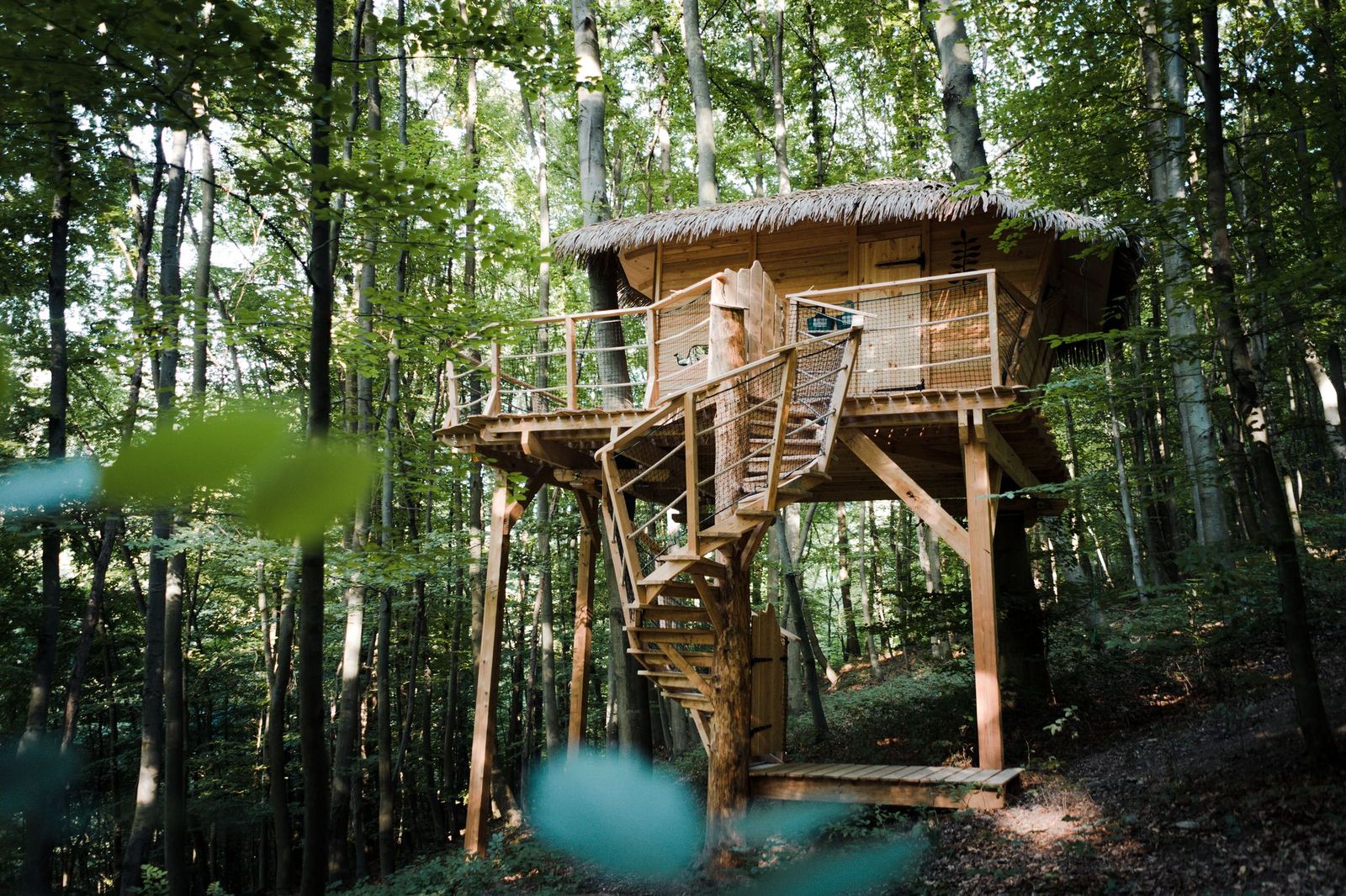Treehouse - Krása Slovenska